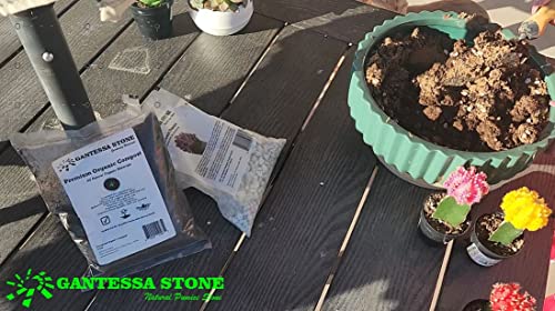 Gantessa Stone Gardening Pumice Soil Amendment | 3/8 Screened | 1.25 Quarts (PS381Q)