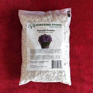 Gantessa Stone Gardening Pumice Soil Amendment | 3/8 Screened | 1.25 Quarts (PS381Q)