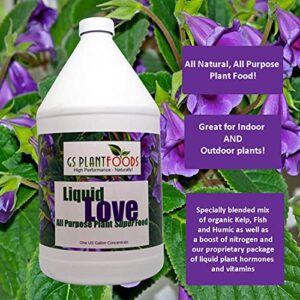 Liquid Love Plant Food by GS Plant Foods- All Purpose Plant Fertilizer (1 Gallon) - Liquid Fertilizer for Herb Gardens, House Plants, Vegetables, Fruit Trees, Lawns & Shrubs