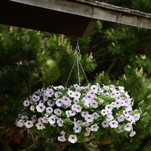 Outsidepride Easy Wave Spreading Petunia Silver Garden Flowers for Hanging Baskets, Pots, Containers, Bedss - 30 Seeds