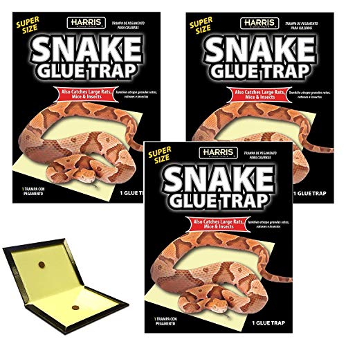 Harris Supersized Snake Glue Trap - Extra Strength, Non-Toxic and Multipurpose (3-Pack)