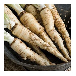 david’s garden seeds salsify sandwich island mammoth 6311 (white) 50 non-gmo, heirloom seeds