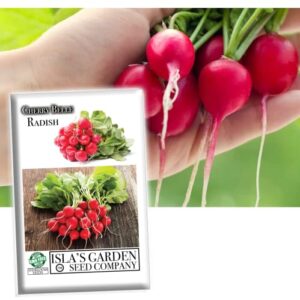 cherry belle radish seeds for planting, 100+ heirloom seeds per packet, (isla’s garden seeds), non gmo seeds, botanical name: raphanus sativus, great home garden gift