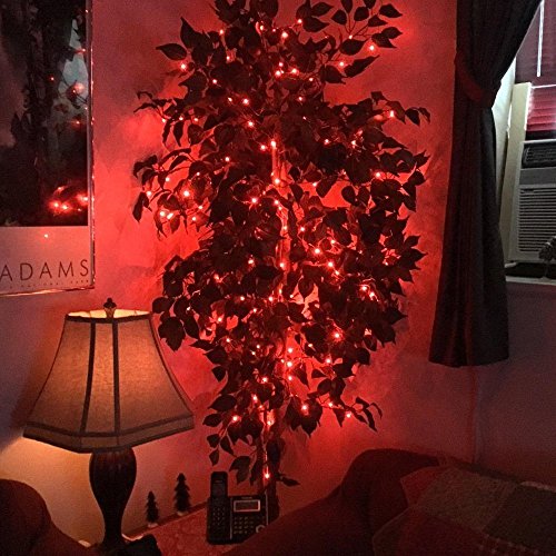 ER CHEN Red Fairy Lights Plug in, 66ft 200 LED Starry String Lights Dimmable with Remote Control, Waterproof Copper Wire Decorative Lights for Bedroom, Patio, Garden, Yard, Party （Red）