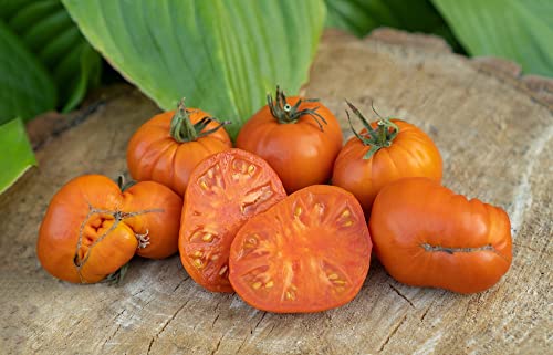 Amana Orange Beefsteak Heirloom Tomato Seeds for Planting, 50+ Heirloom Seeds Per Packet, Non GMO Seeds, (Isla's Garden Seeds), Botanical Name: Lycopersicon esculentum, Great Home Garden Gift