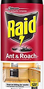 Raid Ant and Roach Killer Fragrance Free, 17.5 OZ (Pack - 3)