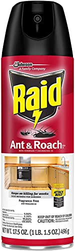 Raid Ant and Roach Killer Fragrance Free, 17.5 OZ (Pack - 3)