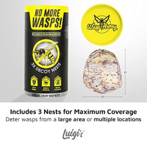 Luigi's Wasp Away - Wasp Nest Decoy - Environmentally Friendly - for Indoor or Outdoor Use in Patio, Pool or Garden (3 Pack)