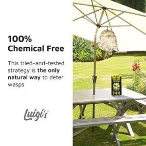 Luigi's Wasp Away - Wasp Nest Decoy - Environmentally Friendly - for Indoor or Outdoor Use in Patio, Pool or Garden (3 Pack)