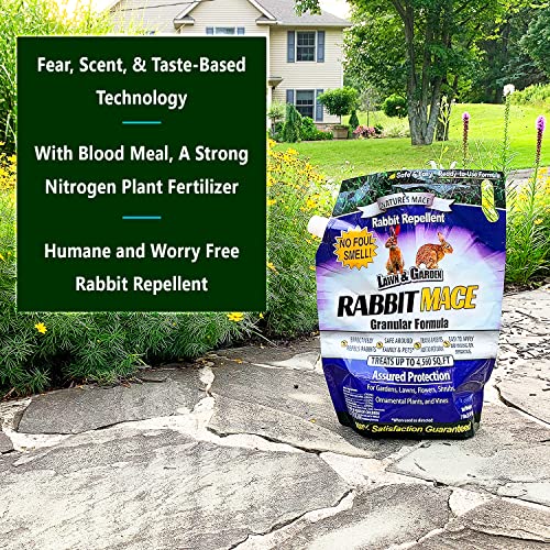 Nature’s MACE Rabbit Repellent 3lb Granular / Treats 1,350 Sq. Ft. / Rabbit Repellent and Deterrent / Keep Rabbits Out of Your Lawn and Garden / Safe to use Around Children & Plants