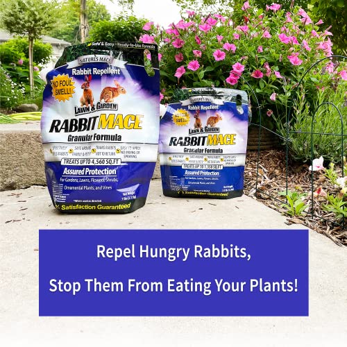 Nature’s MACE Rabbit Repellent 3lb Granular / Treats 1,350 Sq. Ft. / Rabbit Repellent and Deterrent / Keep Rabbits Out of Your Lawn and Garden / Safe to use Around Children & Plants