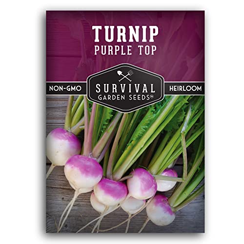 Survival Garden Seeds - Purple Top Turnip Seed for Planting - Packet with Instructions to Plant and Grow Delicious Greens & Root Vegetables in Your Home Vegetable Garden - Non-GMO Heirloom Variety