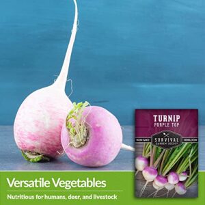 Survival Garden Seeds - Purple Top Turnip Seed for Planting - Packet with Instructions to Plant and Grow Delicious Greens & Root Vegetables in Your Home Vegetable Garden - Non-GMO Heirloom Variety