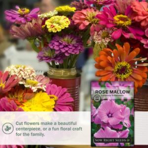 Sow Right Seeds - Tree Mallow Hibiscus Seeds to Plant - Full Instructions for Planting and Growing a Beautiful Flower Garden; Non-GMO Heirloom Seeds; Wonderful Gardening Gift (1)