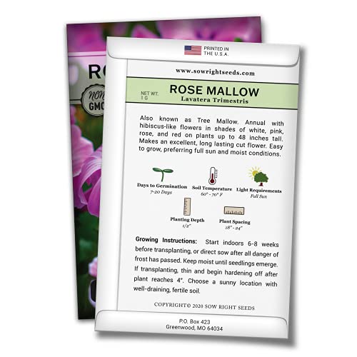 Sow Right Seeds - Tree Mallow Hibiscus Seeds to Plant - Full Instructions for Planting and Growing a Beautiful Flower Garden; Non-GMO Heirloom Seeds; Wonderful Gardening Gift (1)