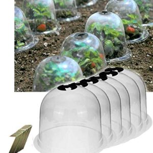 YANGMEI 10 Pack Reuseable 10" Plastic Greenhouse Garden Plant Bell Cover Germination Cover Frost Guard Freeze Protection Dome(Bonus 30 Metal Stakes+10 Plant Tags)