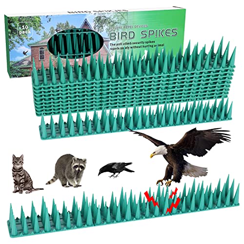 TAISHAN Bird Spikes,10 Pack Plastic Squirrel Raccoon Pigeon Cat Animal Deterrent Spikes for Anti Outdoor Outside to Keep Birds Away,Anti Fence Railing and Roof, Green