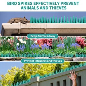 TAISHAN Bird Spikes,10 Pack Plastic Squirrel Raccoon Pigeon Cat Animal Deterrent Spikes for Anti Outdoor Outside to Keep Birds Away,Anti Fence Railing and Roof, Green