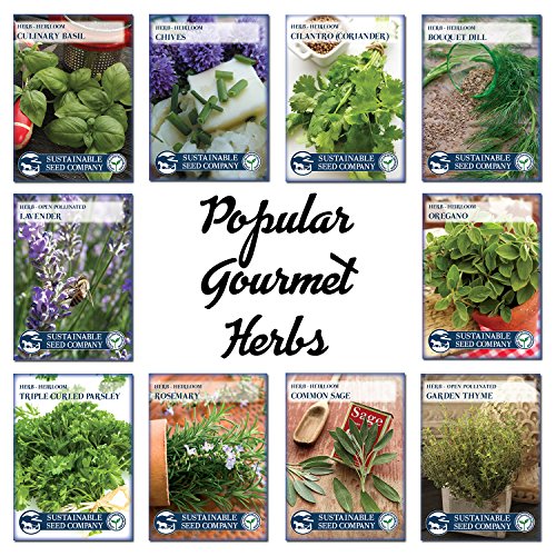 Culinary Herb Seeds Outdoor & Indoor Herb Garden Kit - 10 Herb Garden Seeds for Planting & 8 Instant Soil Pucks - Basil Seeds, Cilantro Seeds, Lavender Seeds, Rosemary Seeds, Thyme Seeds, & More