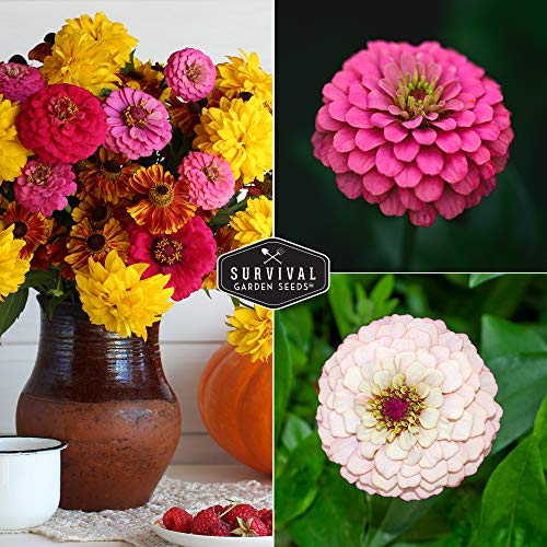 Survival Garden Seeds - California Giants Zinnia Seed for Planting - Packet with Instructions to Plant and Grow Zinnia Elegans Plants in Your Home Vegetable Garden - Non-GMO Heirloom Variety