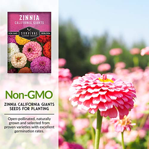 Survival Garden Seeds - California Giants Zinnia Seed for Planting - Packet with Instructions to Plant and Grow Zinnia Elegans Plants in Your Home Vegetable Garden - Non-GMO Heirloom Variety