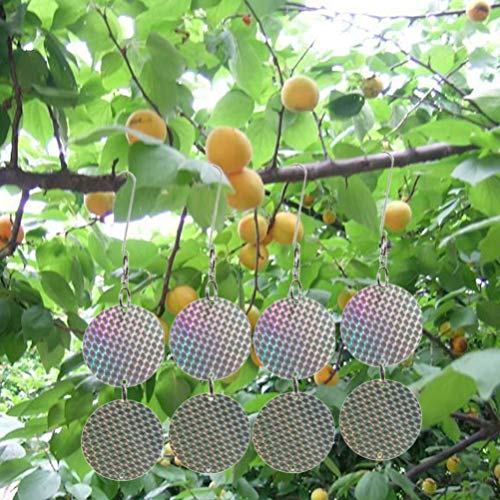 generic 8Pcs Reflective Round Flakelet Bird Proof Tool Reflective Scare Wafer Protective Reflective Hangings Hanging Decor Deterrent Control Device for Woodpeckers Pigeons