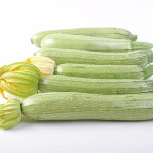 Italian Summer Squash - “Summer Grey Squash” Zucchini with Light Flavor| USA Grown Heirloom Seeds by Liliana's Garden |