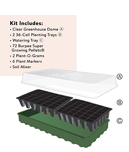 Burpee Greenhouse Indoor Starting Herbs, Flowers and Vegetables | Includes Dome, Watering, Seed Starter Tray, Coir Pellets | 10" W x 20" L x 5" H, One Size, 1 Kit (72 Cells)