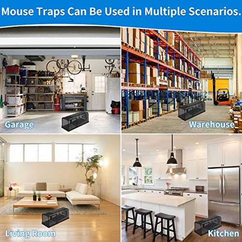 Humane Mouse Trap，Mice Traps for House Indoor Catch and Release for Home No Kill, Chipmunk Traps Live Rat Traps Indoor for Home Safe for Family and Pets No Touch， Best Mouse Traps for Home(6Pack)