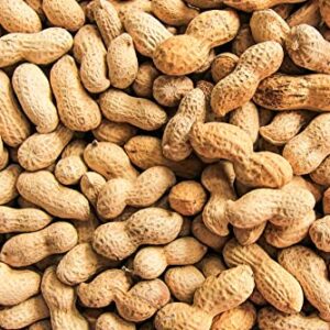 10 Peanut Seeds in The Shell for Planting - Grow Your Own Peanuts - Outdoor Home Gardens | Planting Instructions Included