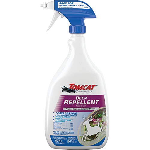 Tomcat Repellents Deer Repellent Ready-to-Use1 Spray - Repels Deer and Rabbits, Contains Essential Oils, Protects Garden and Landscape, No Stink, Rain-Resistant, 24 fl. oz.