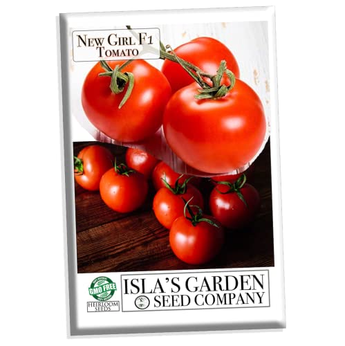 New Girl F1 Tomato Seeds for Planting, 20+ Heirloom Seeds Per Packet, (Isla's Garden Seeds), Non GMO Seeds, Botanical Name: Lycopersicon lycopersicum, Great Home Garden Gift