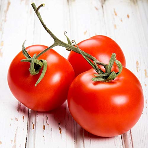 New Girl F1 Tomato Seeds for Planting, 20+ Heirloom Seeds Per Packet, (Isla's Garden Seeds), Non GMO Seeds, Botanical Name: Lycopersicon lycopersicum, Great Home Garden Gift