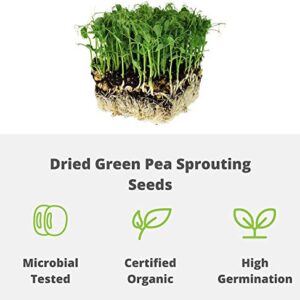 Certified Organic Dried Green Pea Sprouting Seed - 2.5 Lb - Handy Pantry Brand - Green Pea for Sprouts, Garden Planting, Cooking, Soup, Emergency Food Storage, Vegetable Gardening