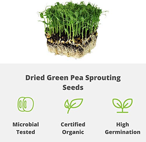 Certified Organic Dried Green Pea Sprouting Seed - 2.5 Lb - Handy Pantry Brand - Green Pea for Sprouts, Garden Planting, Cooking, Soup, Emergency Food Storage, Vegetable Gardening