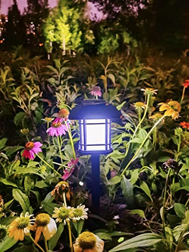 ASTRAEUS Solar Path Lights, New LED Warm White Solar Garden Light for Outdoor with IP44 Waterproof, Solar Pathway Light for Landscape, Driveway, Terrace, and Walkway, Yard. (White, 2 Pack)