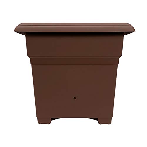 EarthBox 81753.01 Root & Veg Garden Kit, Organic Planter, Chocolate