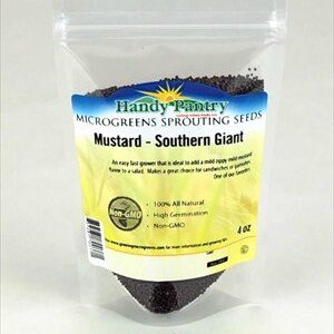 Southern Giant Mustard Seeds - 4 Oz. Resealable Bag - Use for Indoor Gardening, Growing Microgreens & More | Micro Greens Salad Garden Seeds