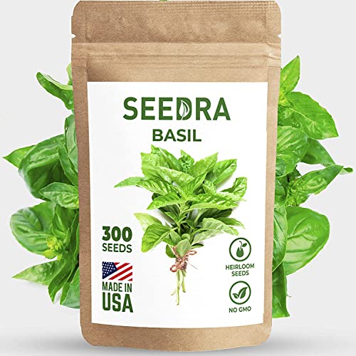 Seedra.US 300+ Italian Large Leaf Basil Seeds for Indoor, Outdoor and Hydroponic Planting, Non GMO Heirloom Seeds for Home Garden - 1 Pack