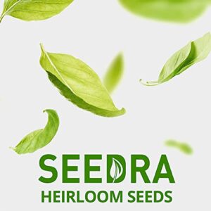 Seedra.US 300+ Italian Large Leaf Basil Seeds for Indoor, Outdoor and Hydroponic Planting, Non GMO Heirloom Seeds for Home Garden - 1 Pack