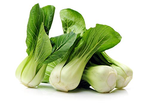 Pak Choi Cabbage Seeds for Planting, 500+ Heirloom Seeds Per Packet, (Isla's Garden Seeds), Non GMO Seeds, Botanical Name: Brassica rapa subsp. chinensi, Great Home Garden Gift