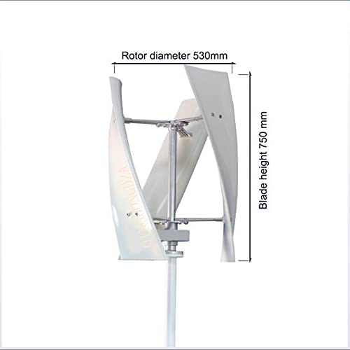 QINGDONGDZA Green Energy Vertical Wind Turbine,6000W Vertical Axis Permanent Maglev Wind Turbine Generator with 12V 24V 48V MPPT Controller for Courtyard Garden Lighting (White),24v