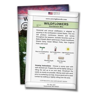 Sow Right Seeds - Wildflowers Seeds to Plant in Northeast - Full Instructions for Planting and Growing a Beautiful Wild Flower Garden; Non-GMO Heirloom Seeds; Wonderful Gardening Gift (1)