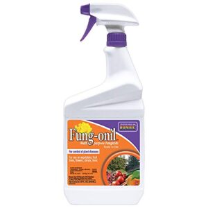 bonide fung-onil multi-purpose fungicide, 32 oz ready-to-use spray for plant disease control, controls blight, mildew & more