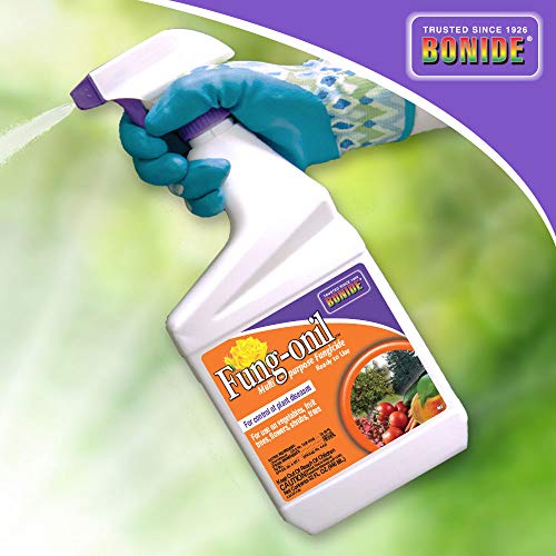 Bonide Fung-onil Multi-Purpose Fungicide, 32 oz Ready-to-Use Spray for Plant Disease Control, Controls Blight, Mildew & More