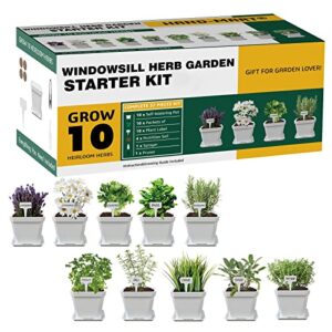 herb garden windowsill starter kit – 10 herb indoor kitchen growing herb complete set including everything for beginner – diy garden gifts for kid adult