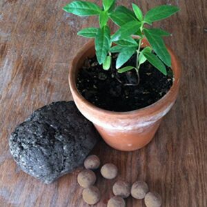 Red Clay Powder for Seed Balls and Seed Bombs (1000g)