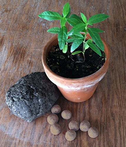 Red Clay Powder for Seed Balls and Seed Bombs (1000g)