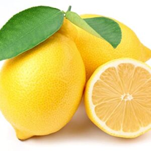 30pcs Lemon Tree Seeds for Planting, Non-GMO Heirloom and Organic, High Survival Rate Fruit for Home Garden (Lemon Seeds)