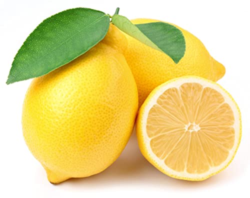 30pcs Lemon Tree Seeds for Planting, Non-GMO Heirloom and Organic, High Survival Rate Fruit for Home Garden (Lemon Seeds)